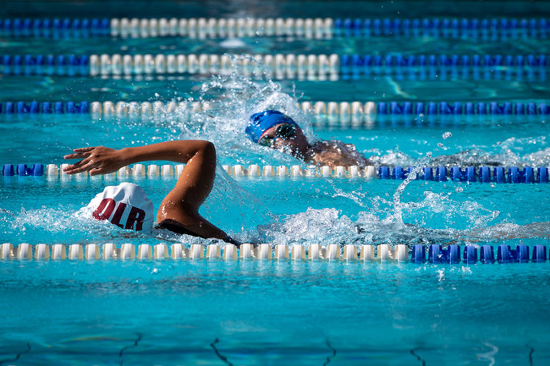 2021 Archdiocesan Carnival | Sydney Catholic Schools